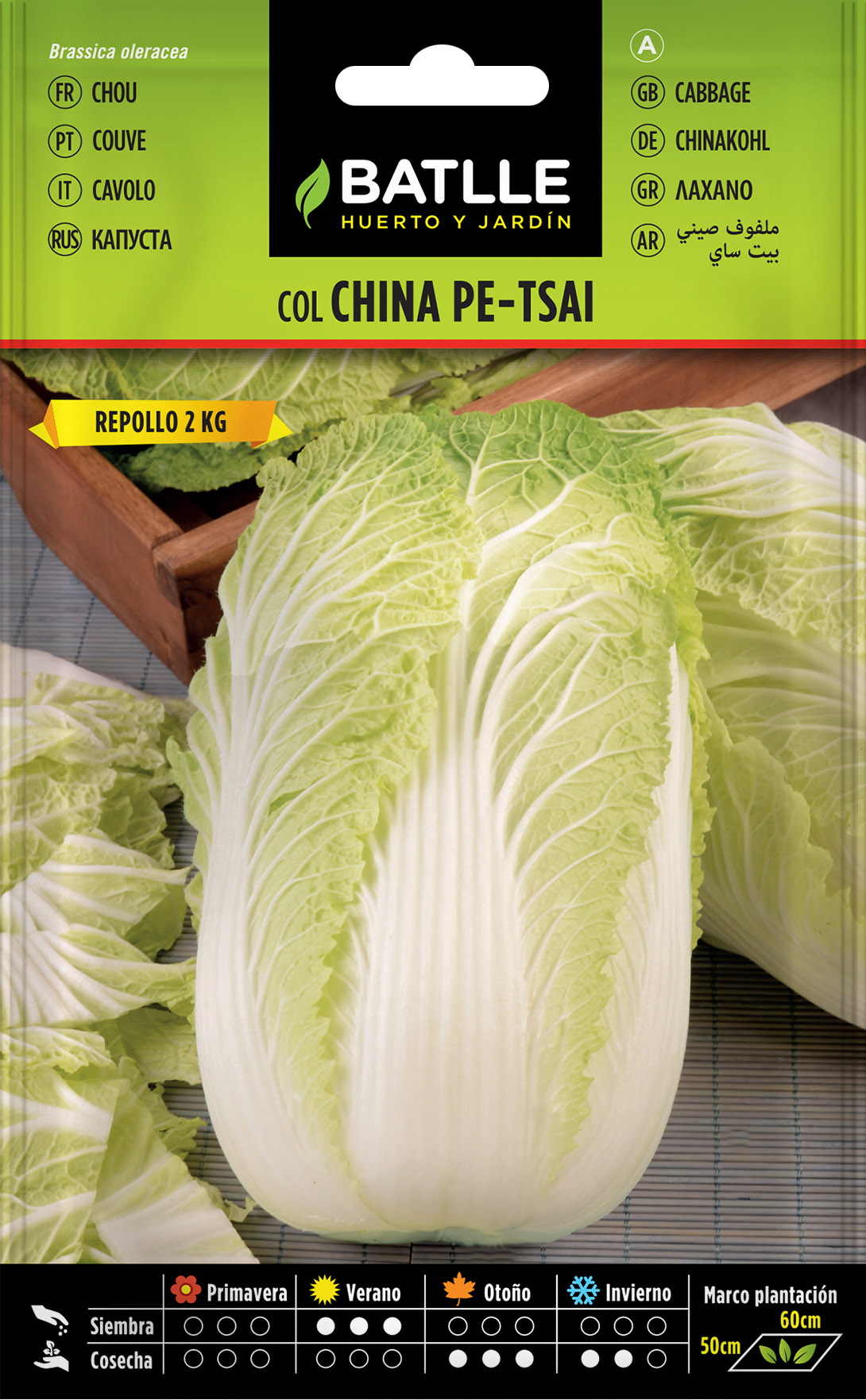 🌱 ¡Descubre el Tiempo de Crecimiento de Col China en Semillero! 🥬
