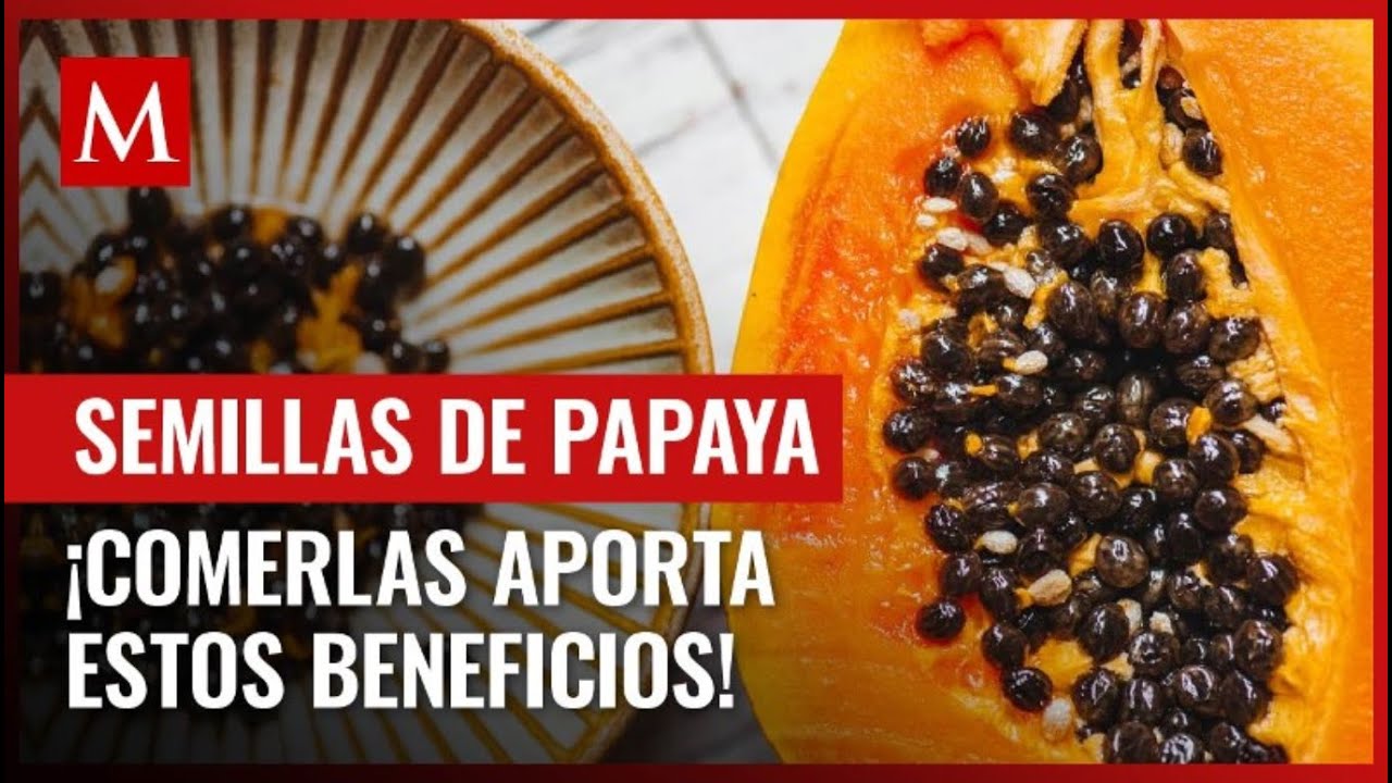 🌱 ¡Descubre la Verdad sobre la Calidad de las Semillas de Papaya! 🍈
