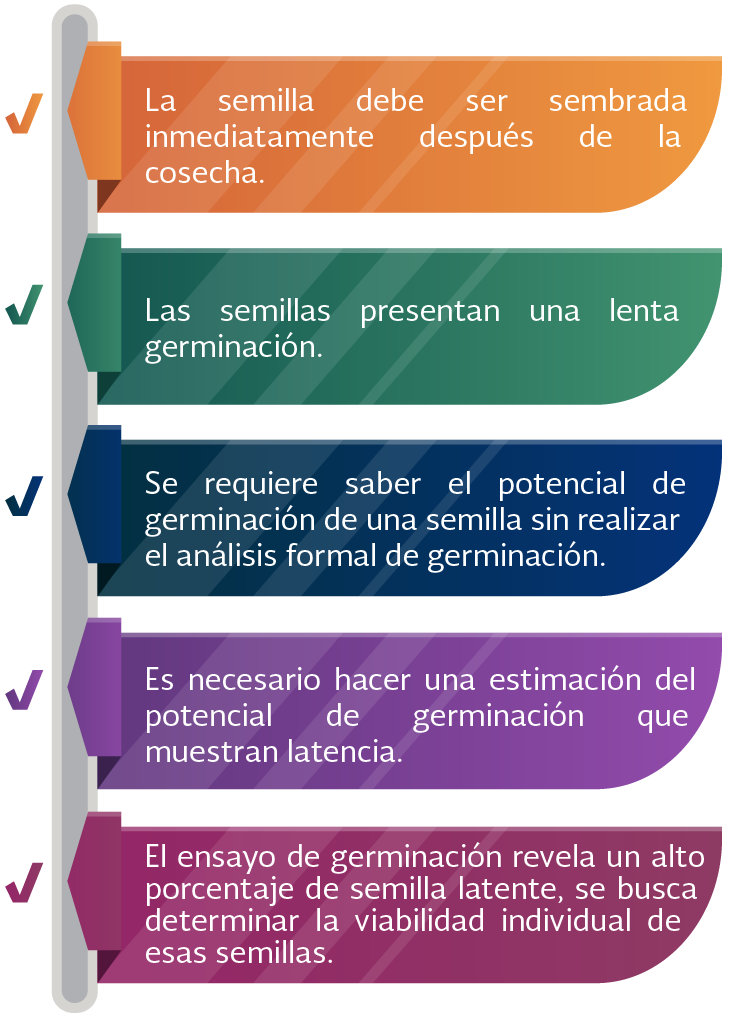 🌱 ¡Descubre las 5 Características Clave de una Semilla Viable! 🌿