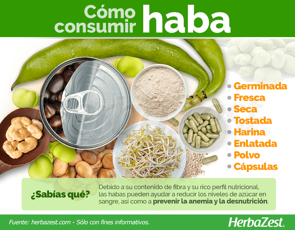 🌱 ¡Descubre las 7 Características del Suelo Perfecto para Habas! 🌱