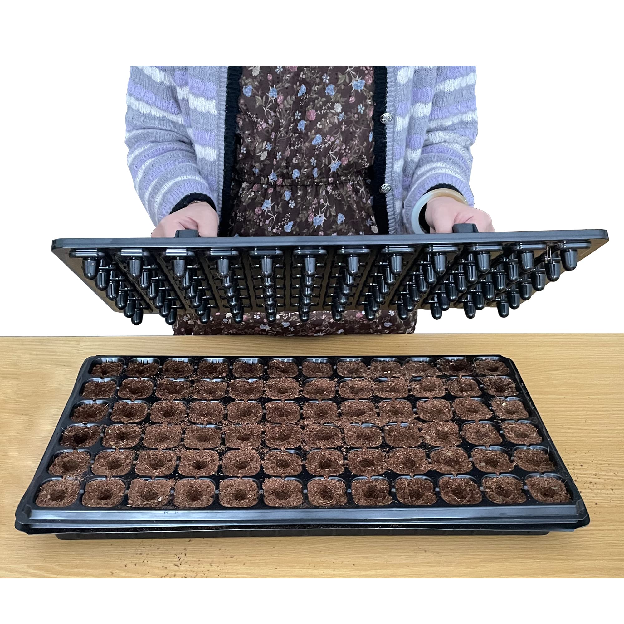 🌱 ¡Descubre las Mejores Charolas para Germinar Semillas sin Suelo! 🌱