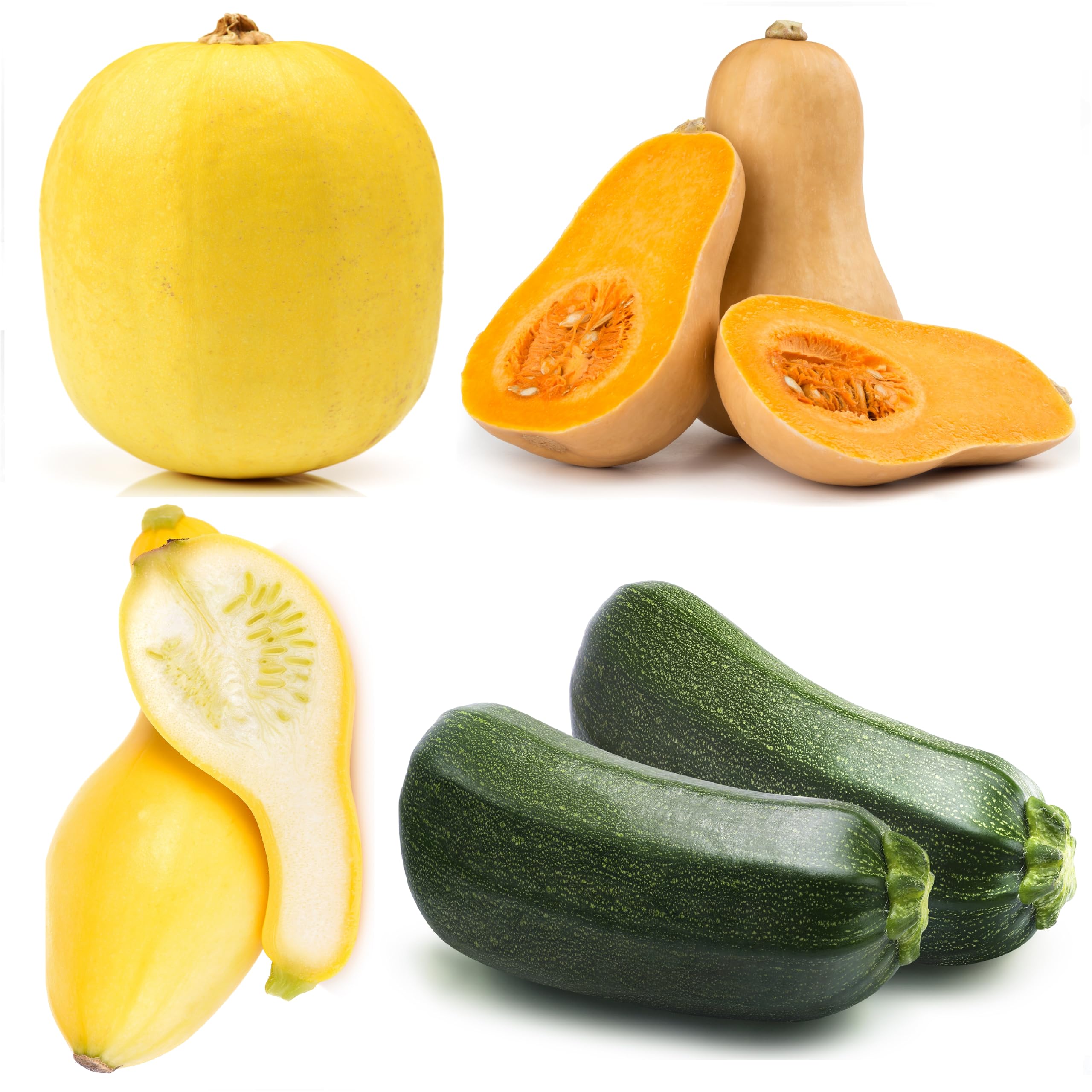 🌱 ¡Descubre las Mejores Variedades de Calabacín para Cultivar! 🍆