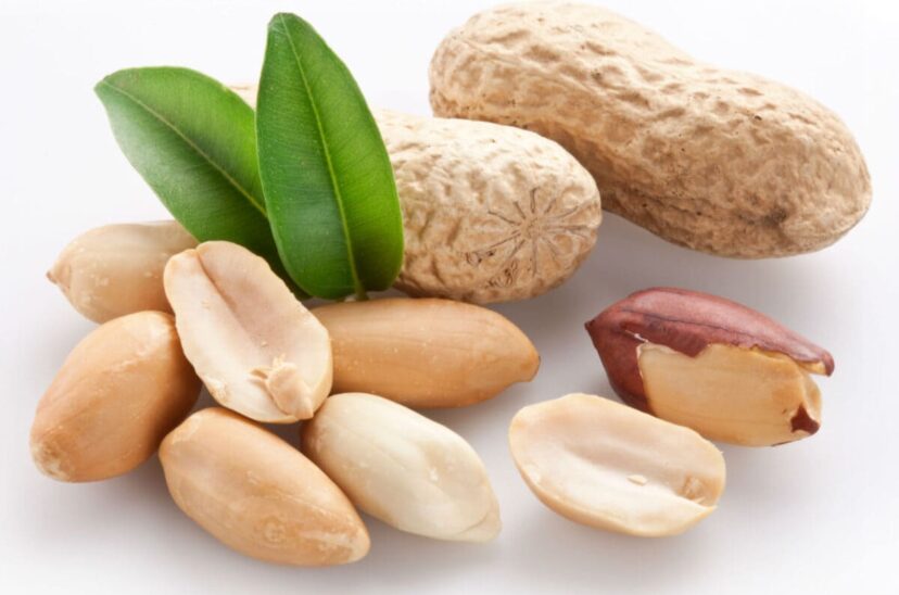 🌱 ¡Descubre las Sorprendentes Causas del Crecimiento Lento del Cacahuate! 🥜