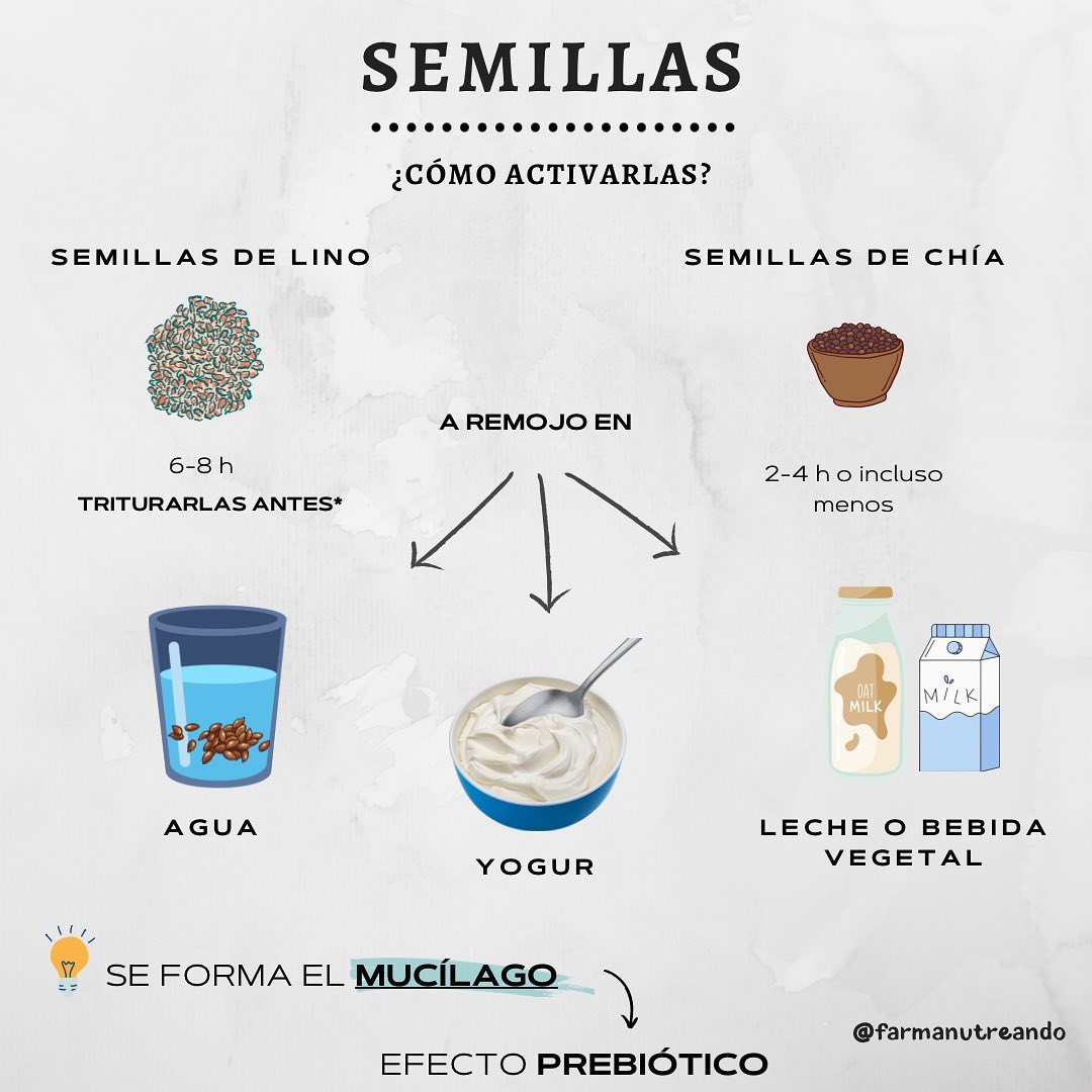 🌱 ¡Descubre los Beneficios del Remojo de Semillas de Lino! 🚀