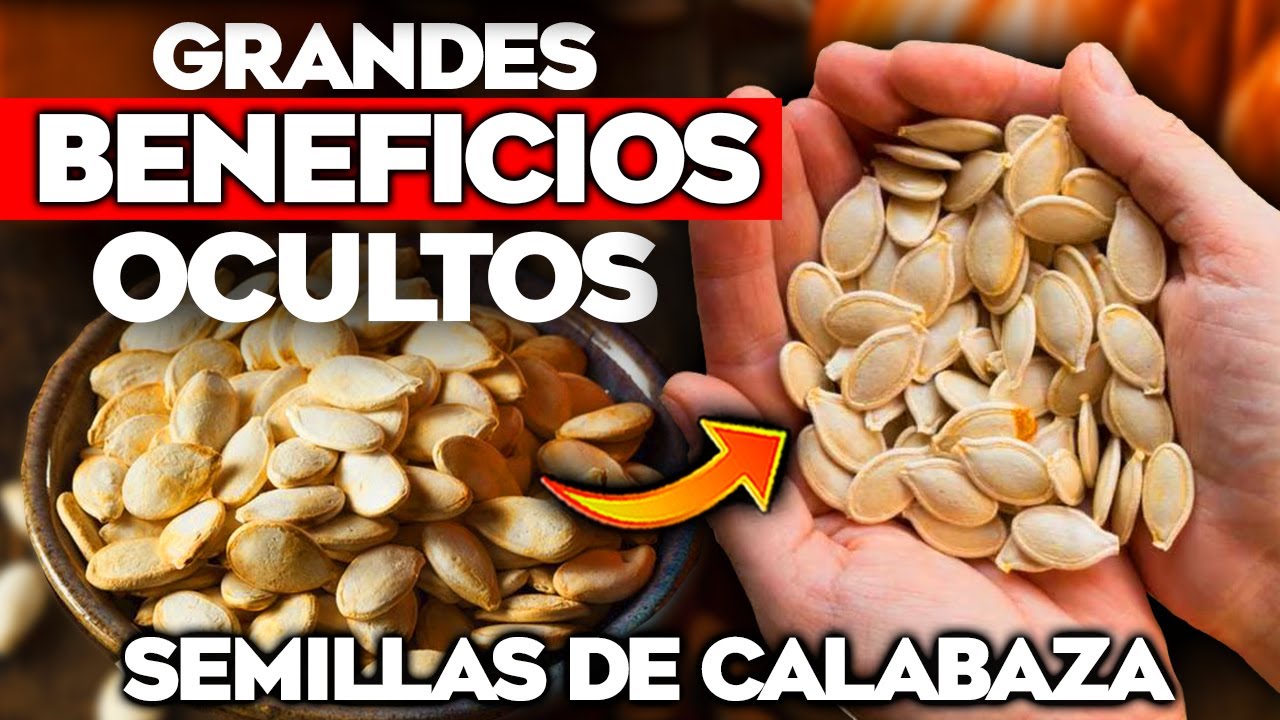 🌱 ¡Descubre los Increíbles Beneficios de la Alimentación con Semillas ...