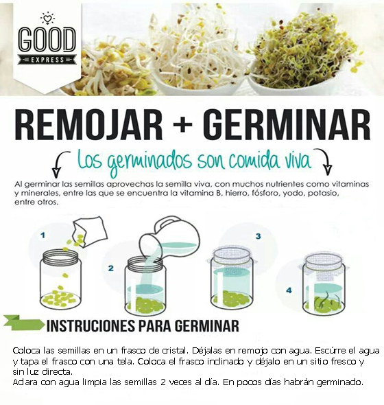 🌱 ¡Descubre los Poderes Ocultos! Alimentos Germinados y sus Vitaminas 💪