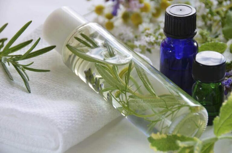🌱 Transformación Verde: ¡Descubre el Agua de Romero para Reforestar! 🌿