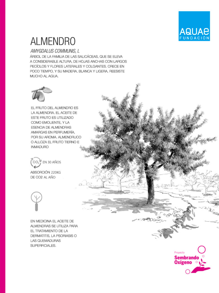🌱¡Descubre el Almendro! Tiempo de Germinación y Clima Ideal 🌤️