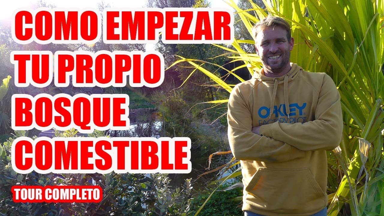🌱 Algarrobo: ¡Crea tu Mini Bosque Comestible en 5 Sencillos Pasos! 🍃🍽️
