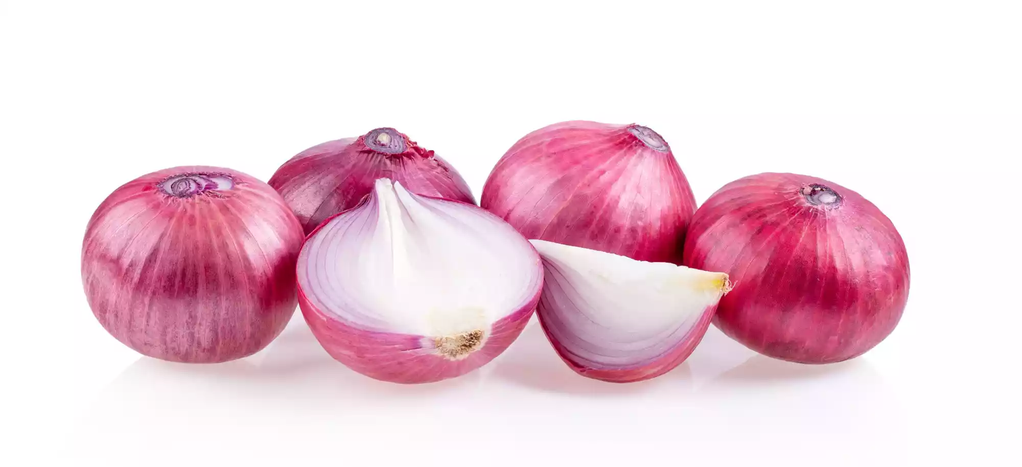 🌱 ¡Descubre los Secretos de la Cebolla en Agua! Cuidados Básicos Aquí 🌊🧅