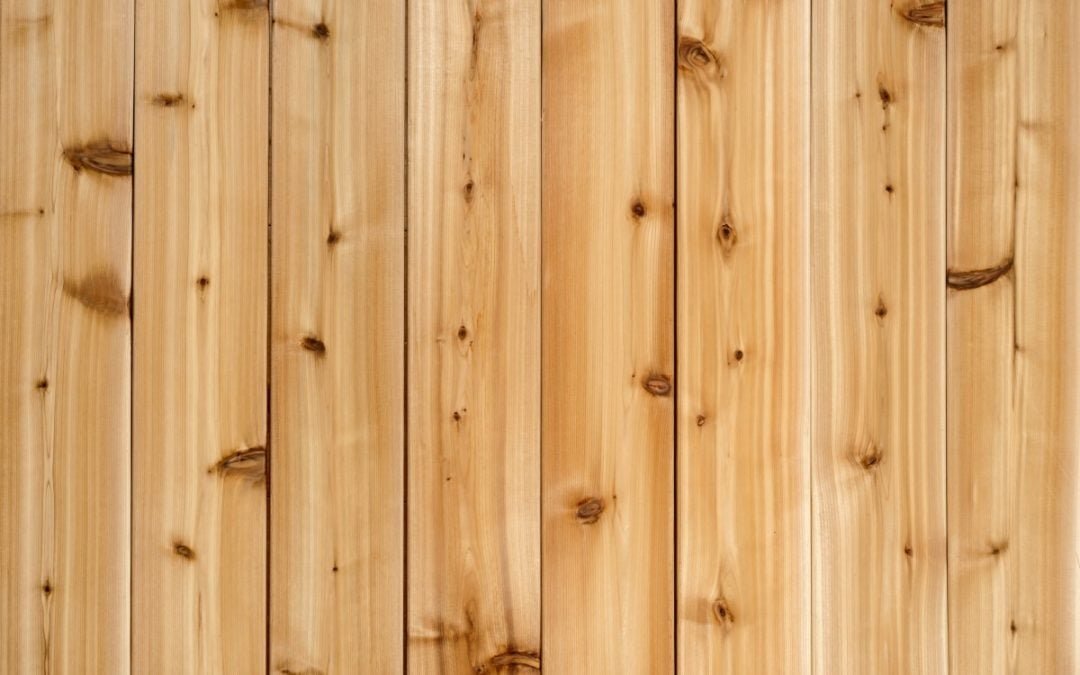 🌲 Cedro: La Madera Ideal para tus Aventuras al Aire Libre 🌳