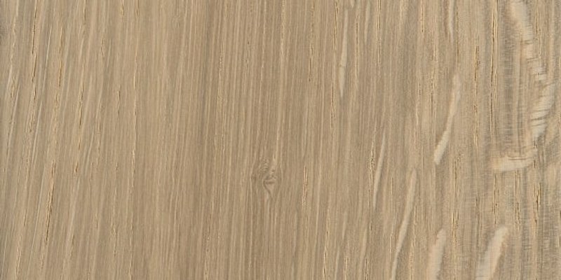 🌳 ¡Descubre la Inigualable Calidad de la Madera de Encina Adulta! 🌟