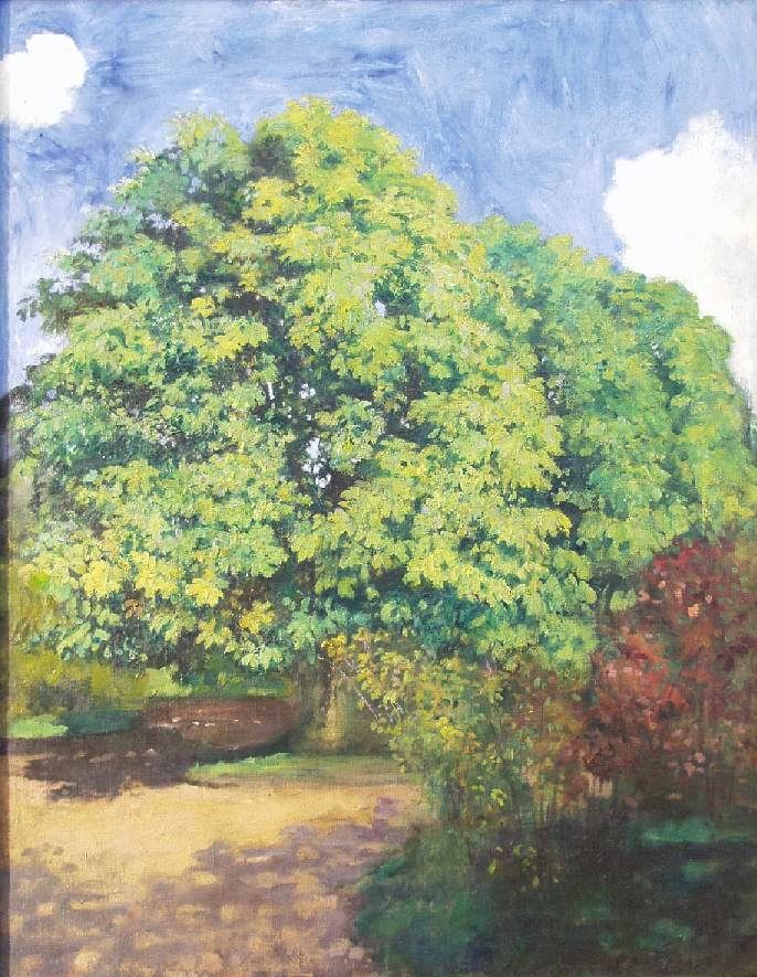 🌳 ¡Descubre los Castaños Famosos en Europa y su Fascinante Historia! 🌍🌟