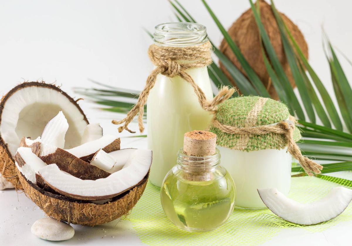 🌴 ¡Descubre cómo el coco germinado potencia tu salud renal! 🥥💪