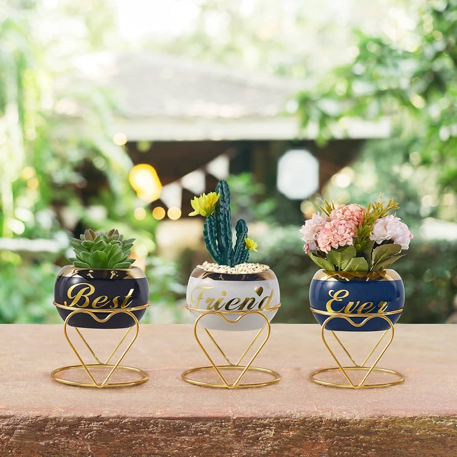 🌵 ¡Descubre los Mejores Regalos para Plant Lovers y Cactus Sorprendentes! 🎁