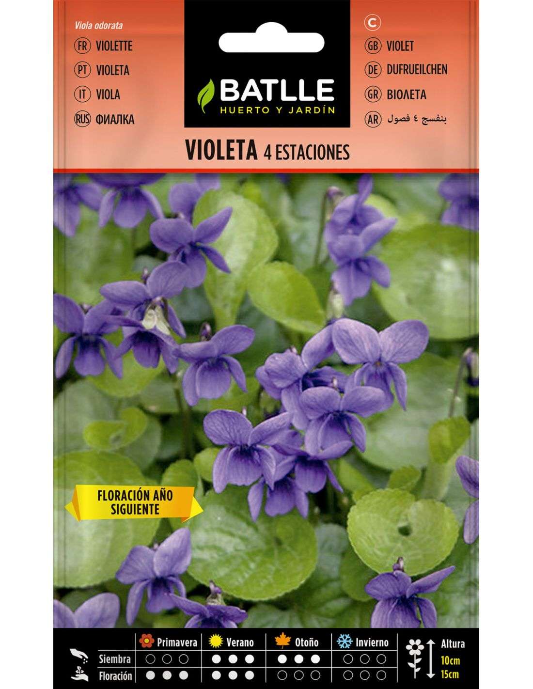 🌸 Descubre las Sorprendentes Características de las Semillas de Violetas! 🌱