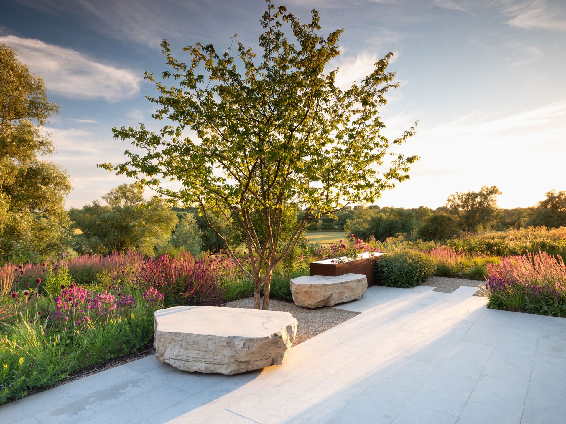 🌸 Transformando Tu Jardín: Cerezos y Diseño Paisajístico Perfecto