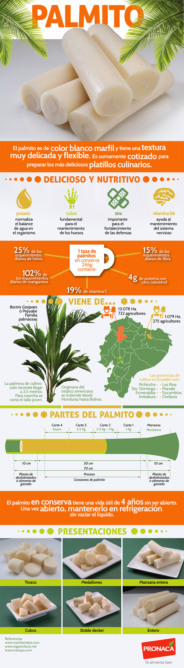 🌿 ¡Descubre las Calorías y Propiedades del Palmito que Sorprenden! 💚