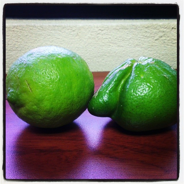 🌿 ¡Descubre las Sorprendentes Características del Limón Macho y Hembra! 🍋