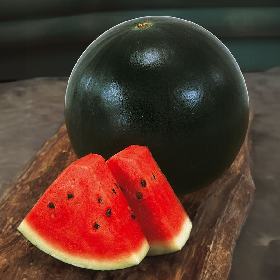 🍉 ¡Descubre el Almacenamiento Perfecto para tu Sandía Sugar Baby!