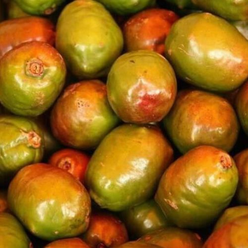 🍏🌈 ¡Descubre la Clasificación de Jocotes por su Color y Sorpréndete! 🌟