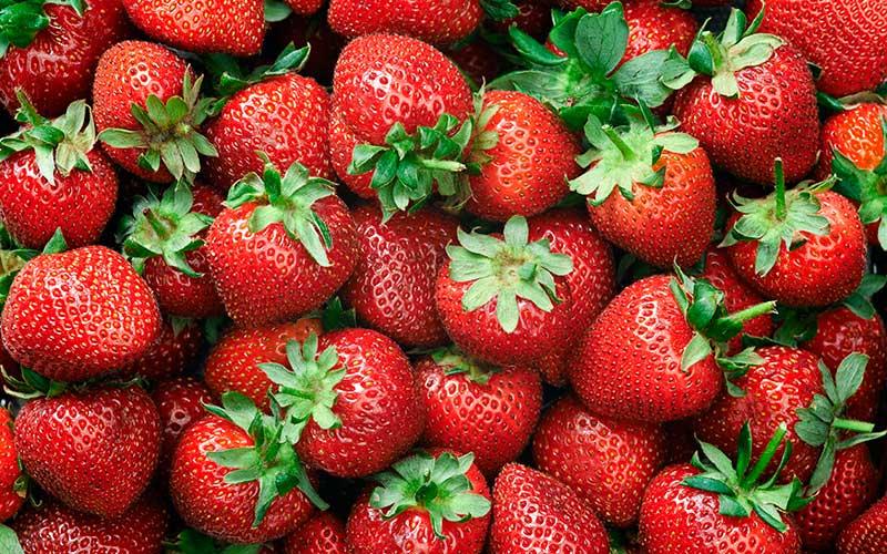 🍓 ¡Descubre las 7 Características Clave de las Fresas para Propagación! 🌱
