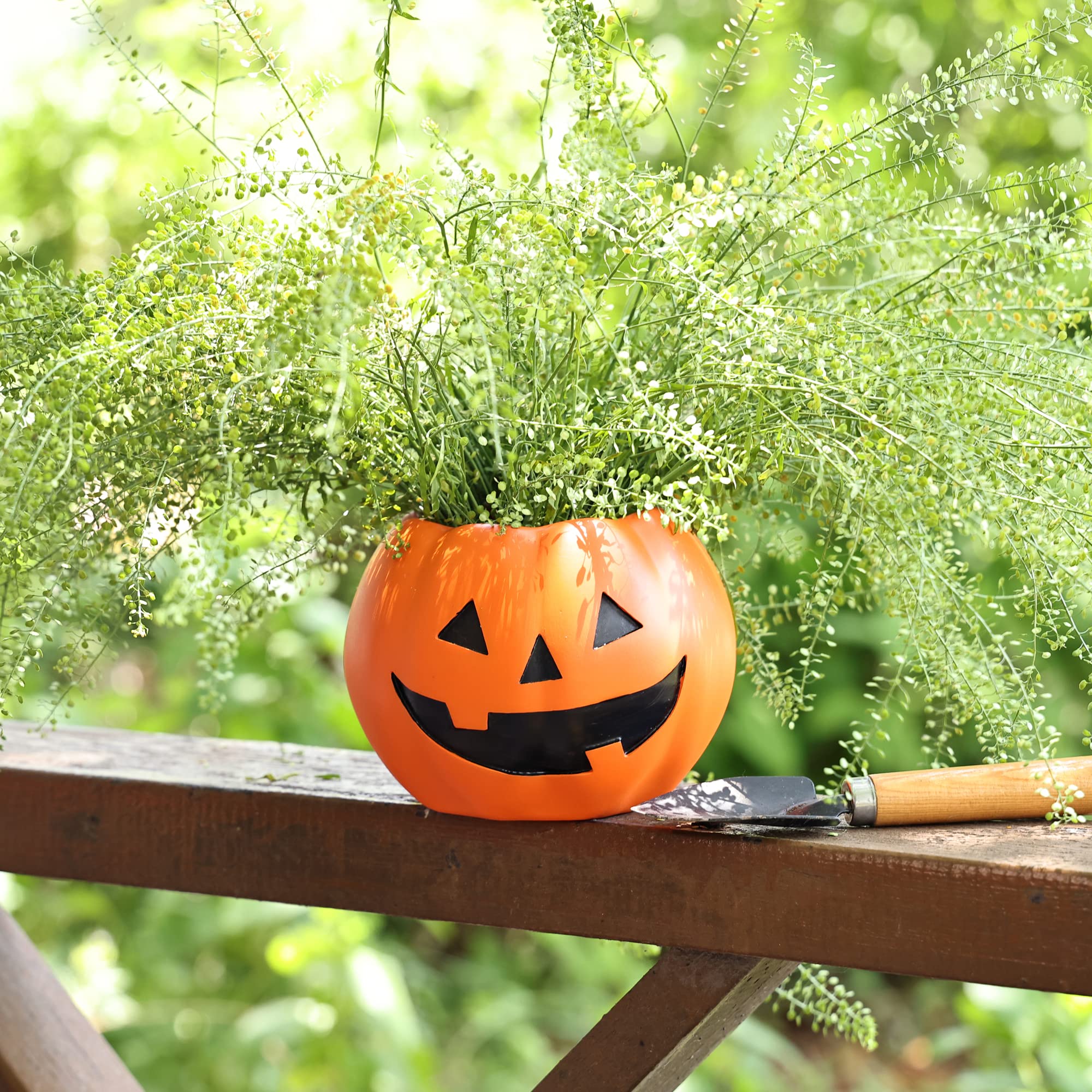 🎃 **Calabazas: ¡Riega tus macetas de mimbre chic como un experto!** 💧