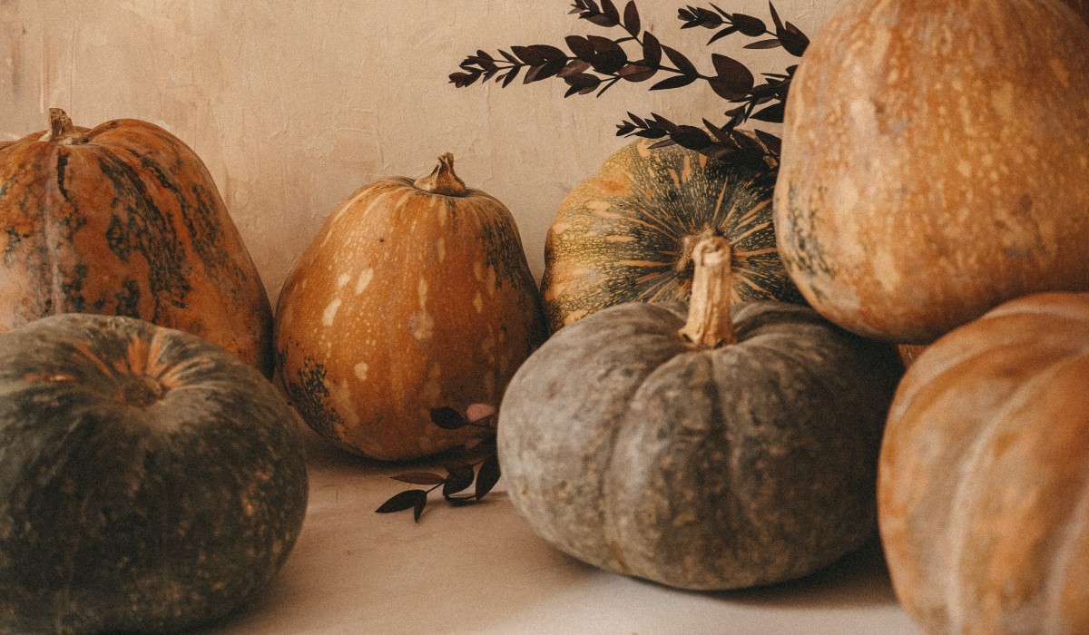 🎃 ¡Descubre los 7 Tipos de Calabazas Más Populares Que Deberías Conocer! 🍂