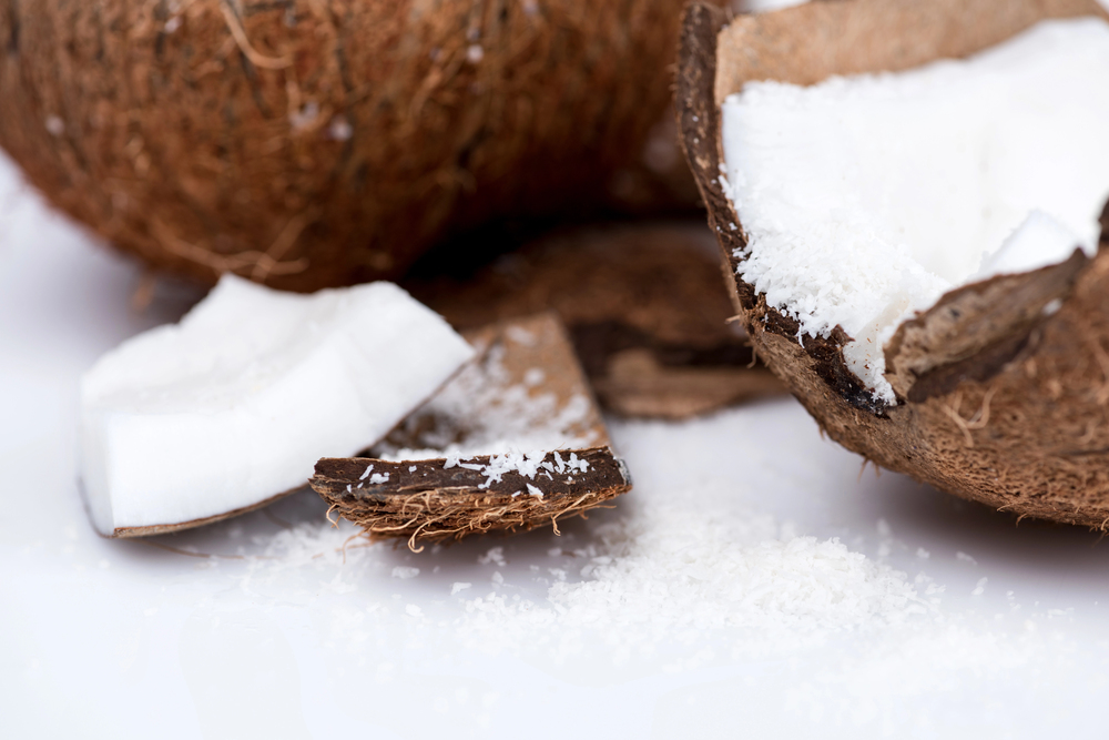 🏆 ¡Descubre el Secreto del Coco Germinado para Potenciar tu Rendimiento ...