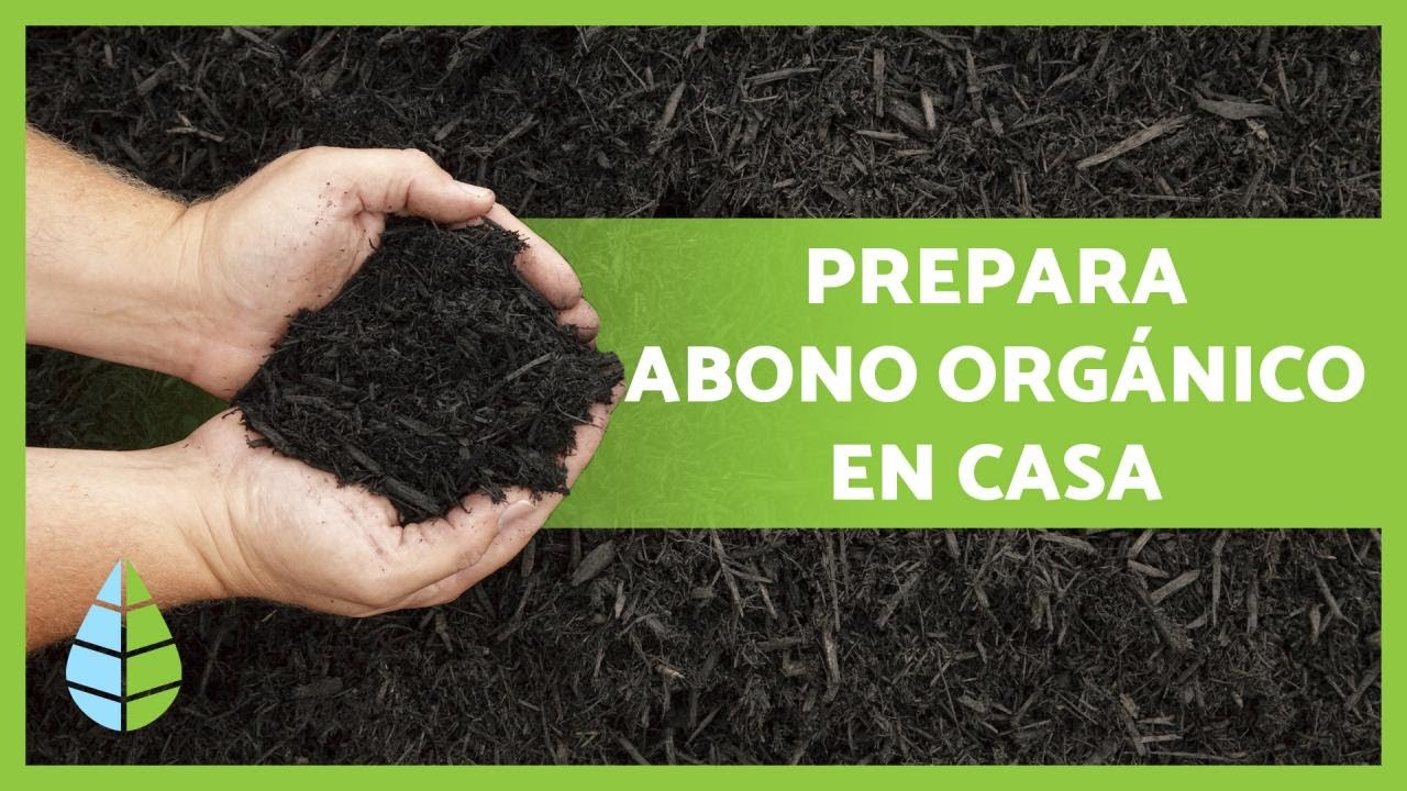 💥 ¡Abono Orgánico CASERO! 🌱 Tierra Fértil ️ ¡Cosecha INCREÍBLE!