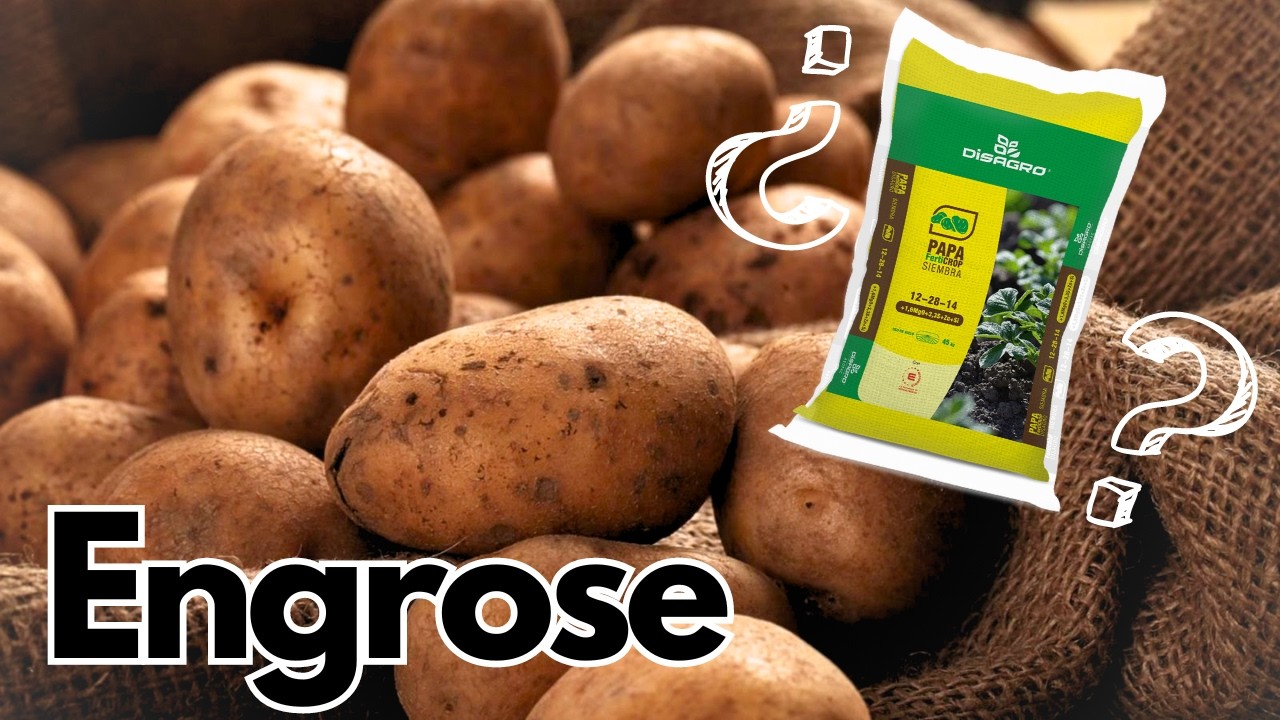 💥 ¡Abono para Papas Gigantes! 🥔 ¡Trucos SECRETOS! 🤫