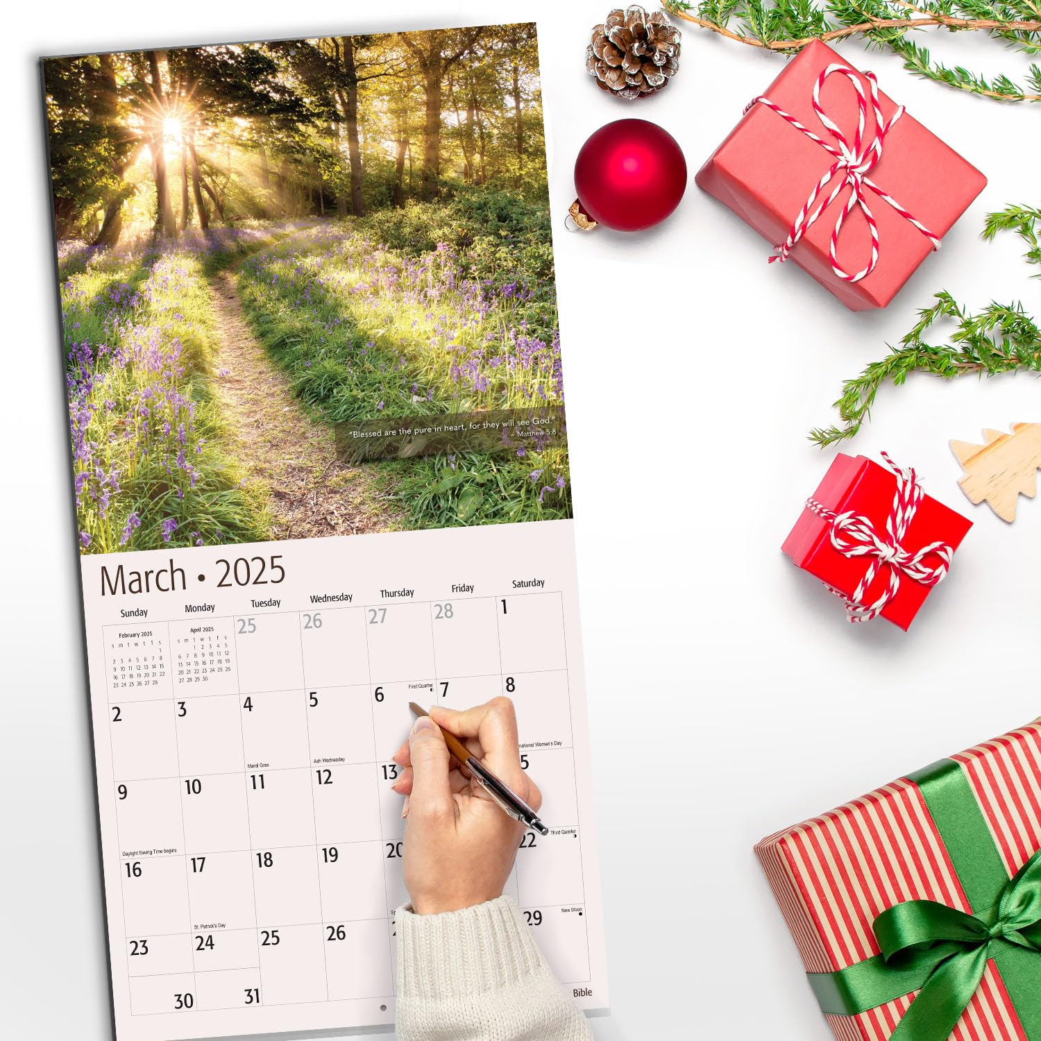📅 ¡Descubre el Calendario de Brotación del Paraíso según tu Ubicación! 🌍