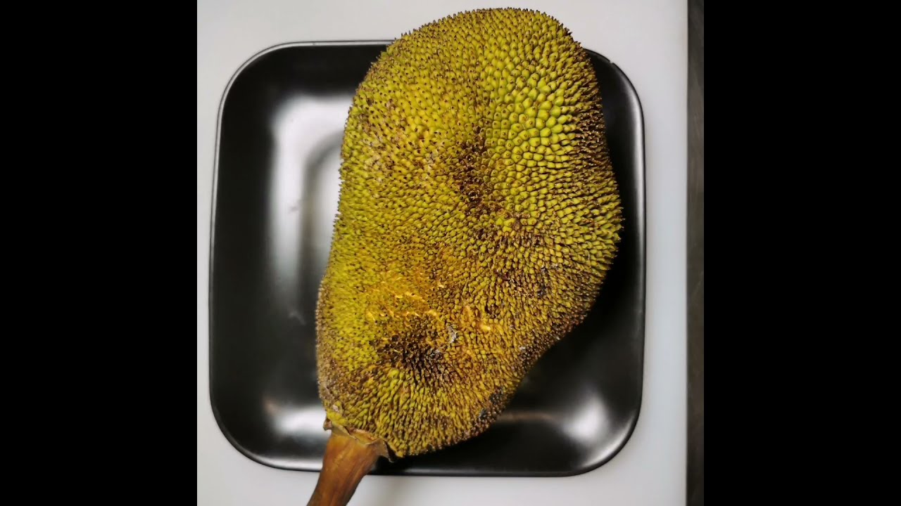 📦 ¡Descubre el Secreto del Almacenamiento Adecuado de la Yaca Cortada! 🥭