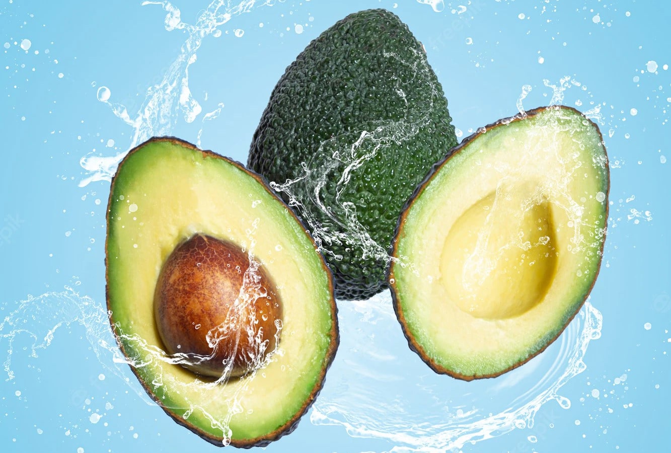 ¡😱 Abundancia de Agua? 🥑 ¡Ubicación IDEAL para Aguacates! 🤑