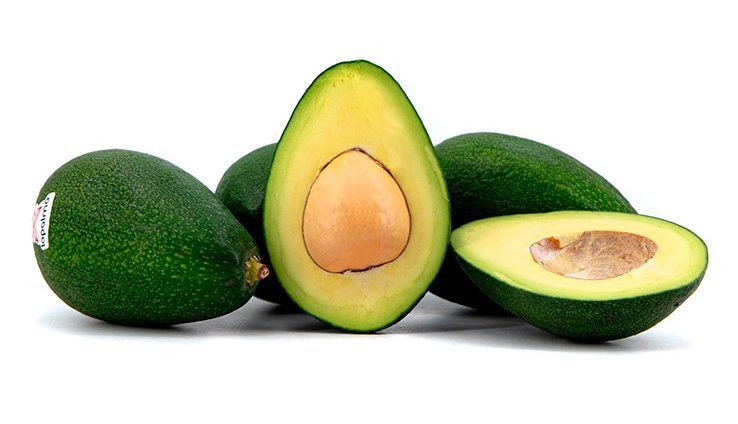 🥑 ¡Descubre el Aguacate Bacon de Crecimiento Rápido! 🌱 ¡Cultiva el tuyo!