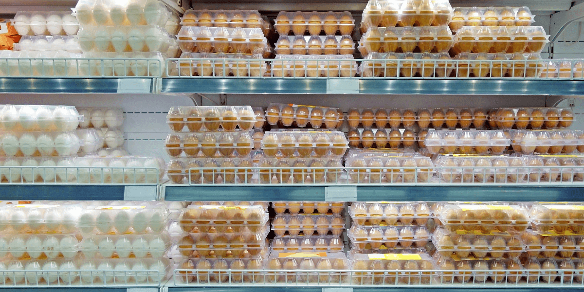 🥚 ¡Descubre los Impactantes Cambios en Tu Salud con Brotes y Huevos! 🌱💪