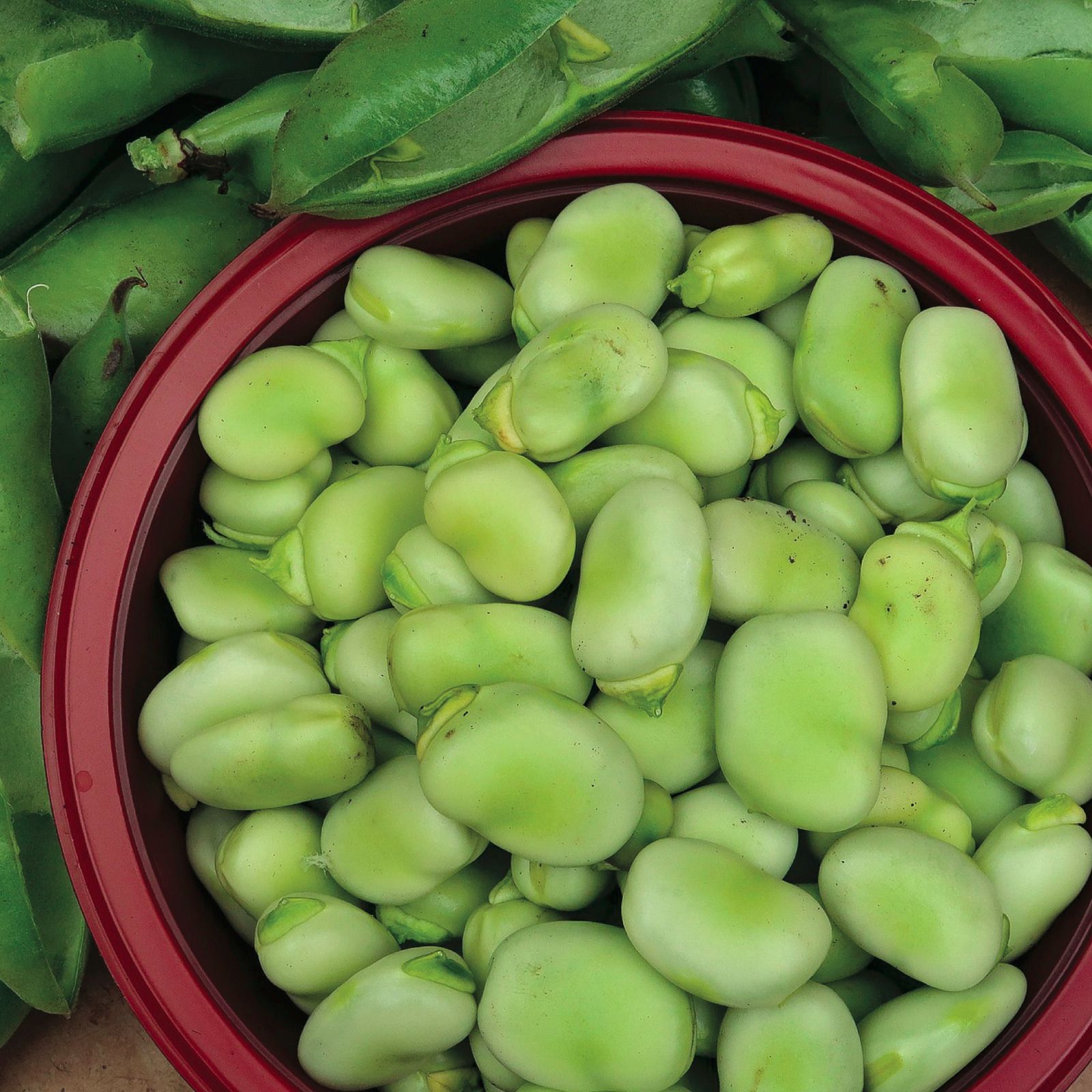 🥳 ¡Descubre la Verdadera Calidad de las Habas: ¿Temporada vs Fuera? 🌱