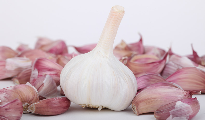 🧄 Ajo Morado vs Blanco: ¡Descubre sus Sorprendentes Usos Medicinales! 🌱