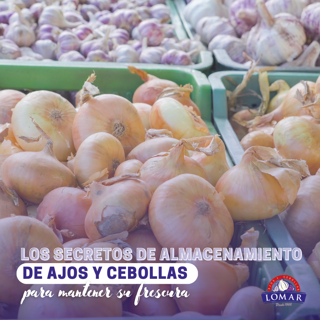 🧅 ¡Descubre el Secreto del Almacenamiento de Cebollas sin Lagrimeo! 😲